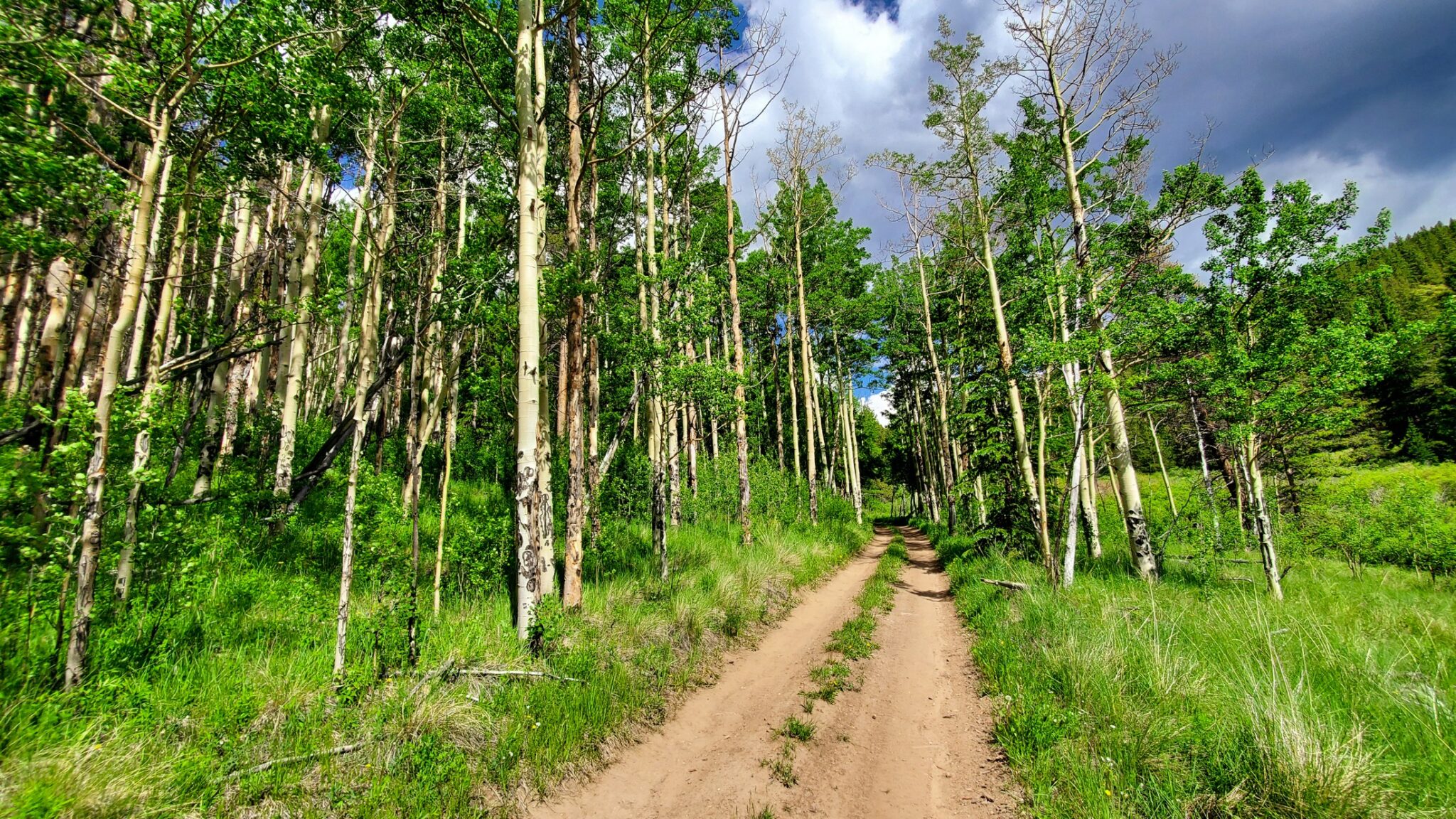 Why Colorado is a Must-Visit Destination for Natur...